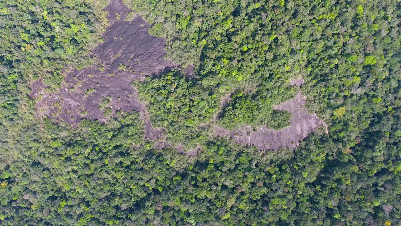 Inselberg Roche Savane Virginie Aerial Vertical View. Amazonia Guiana Drone Free Stock Video ...